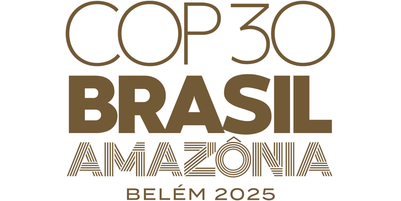 COP30: A pivotal moment for climate adaptation? - CEDARE